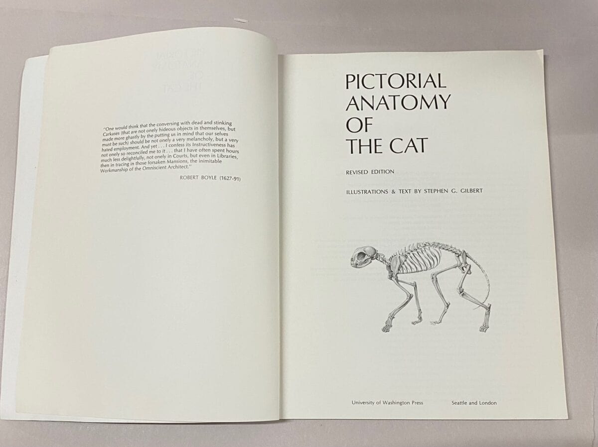 Pictorial Anatomy Of The Cat, Revised Edition, Stephen G. Gilbert, PB ...